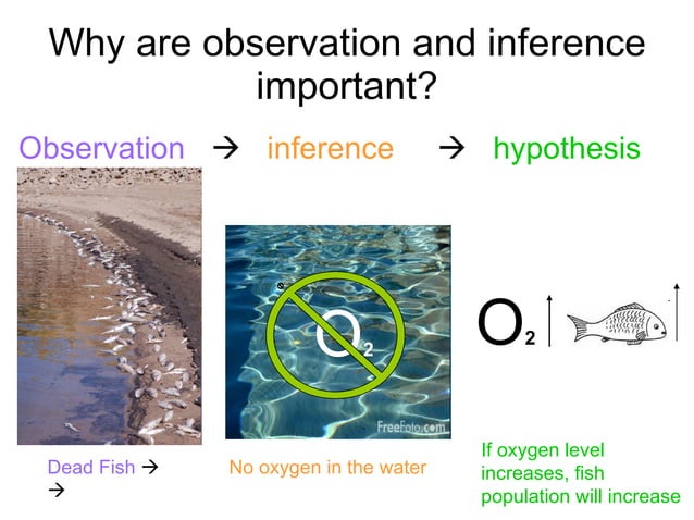 Inference and Observation Scienetific Method And Lab Safety | PPT