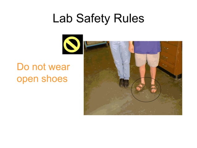 Inference and Observation Scienetific Method And Lab Safety | PPT