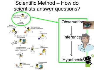 Inference and Observation Scienetific Method And Lab Safety | PPT