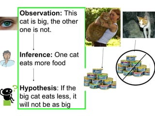 Inference and Observation Scienetific Method And Lab Safety | PPT