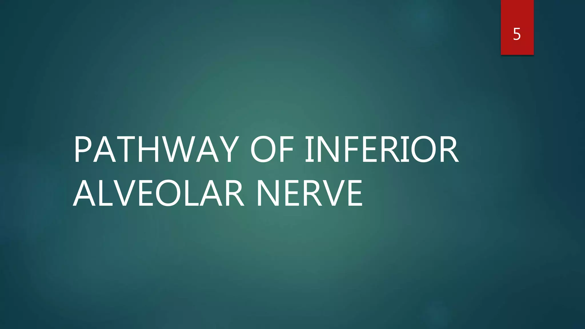 Inferior alveolar nerve | PPTX