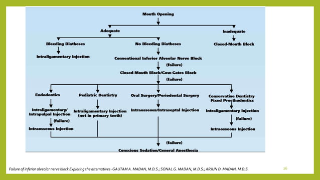 Inferior Alveolar Nerve Pptx