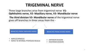 Inferior alveolar nerve | PPTX