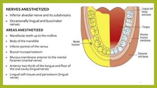 Inferior alveolar nerve | PPTX