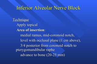 Inferior Alveolar Nerve Block | PPT