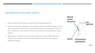 Inferior epigastric vessels injury; What to do ? | PPTX