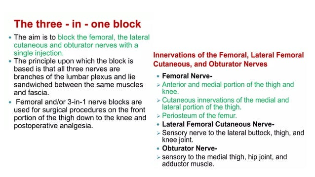 INFERIOR LIMB NERVE BLOCKS ultrasound guided.pptx