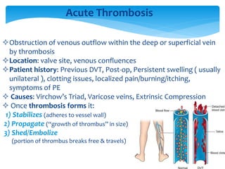 Inferior Vena Cava Disorders | PPTX
