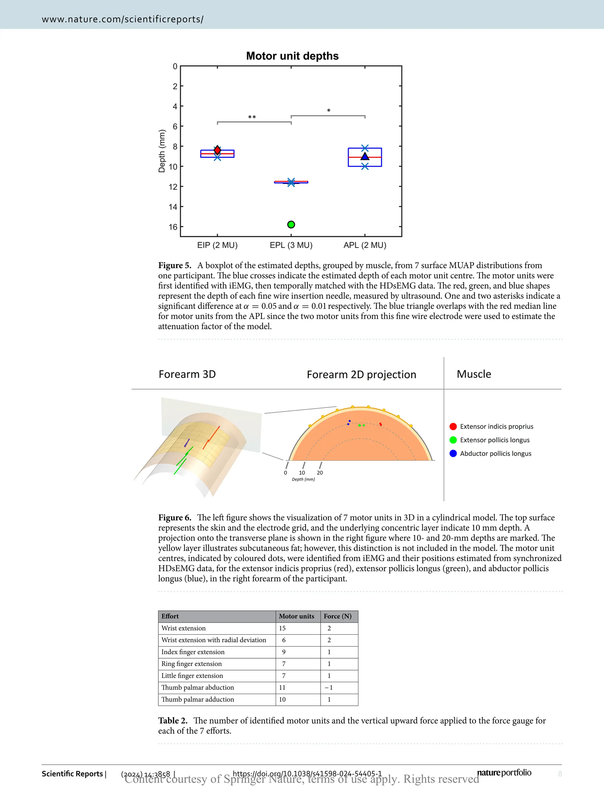 Inferring_position_of_motor_units_from_high-densit.pdf