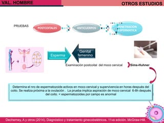 Infertilidad | PPTX