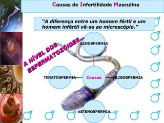 infertilidade masculina | PPT