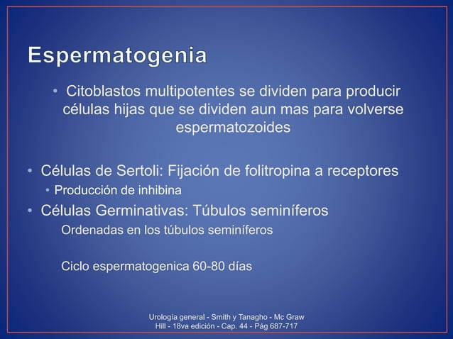 Infertilidad Masculina Ppt