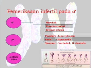 Infertilitas.pptx