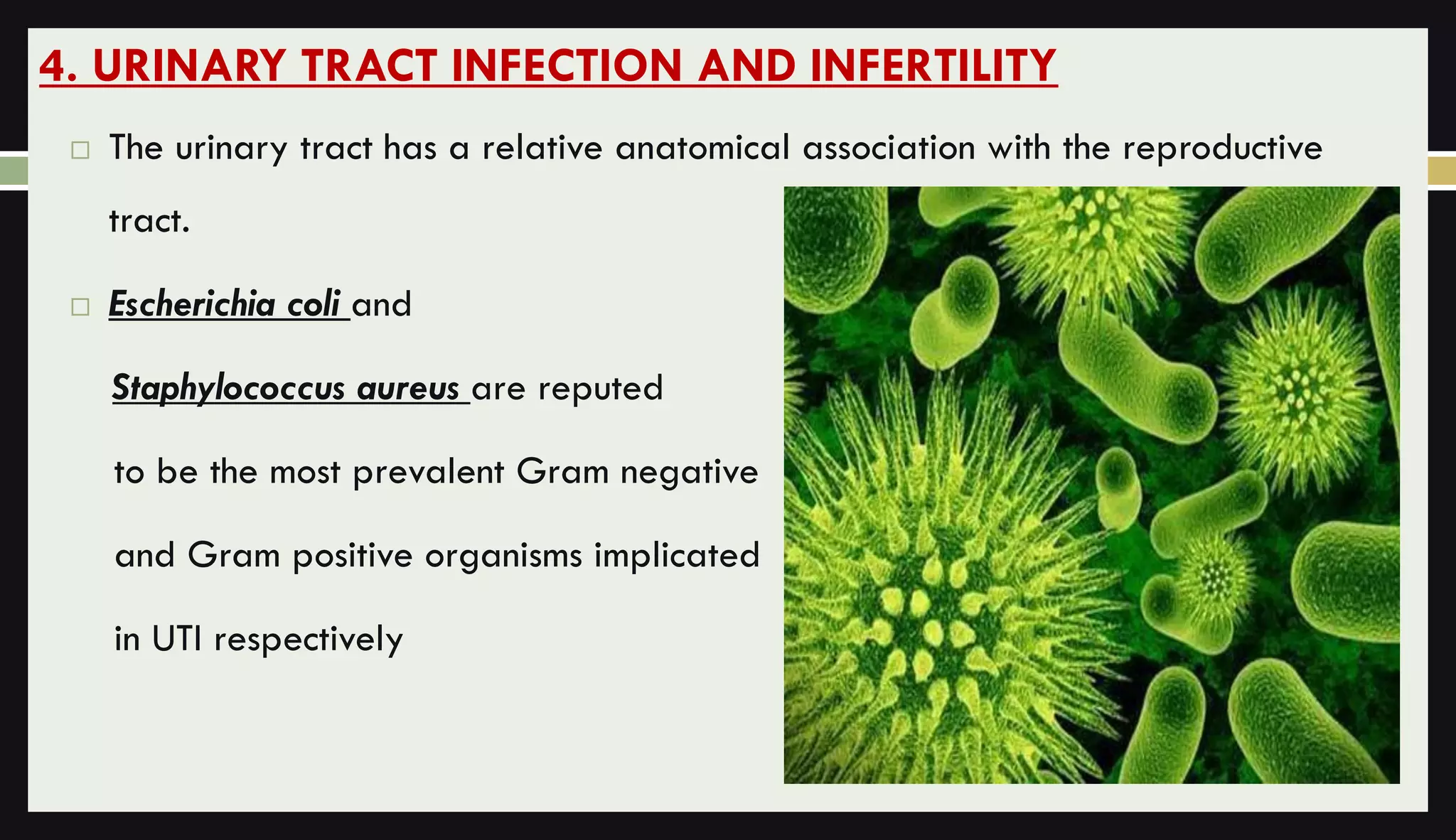Pathophysiology of Infertility | PDF