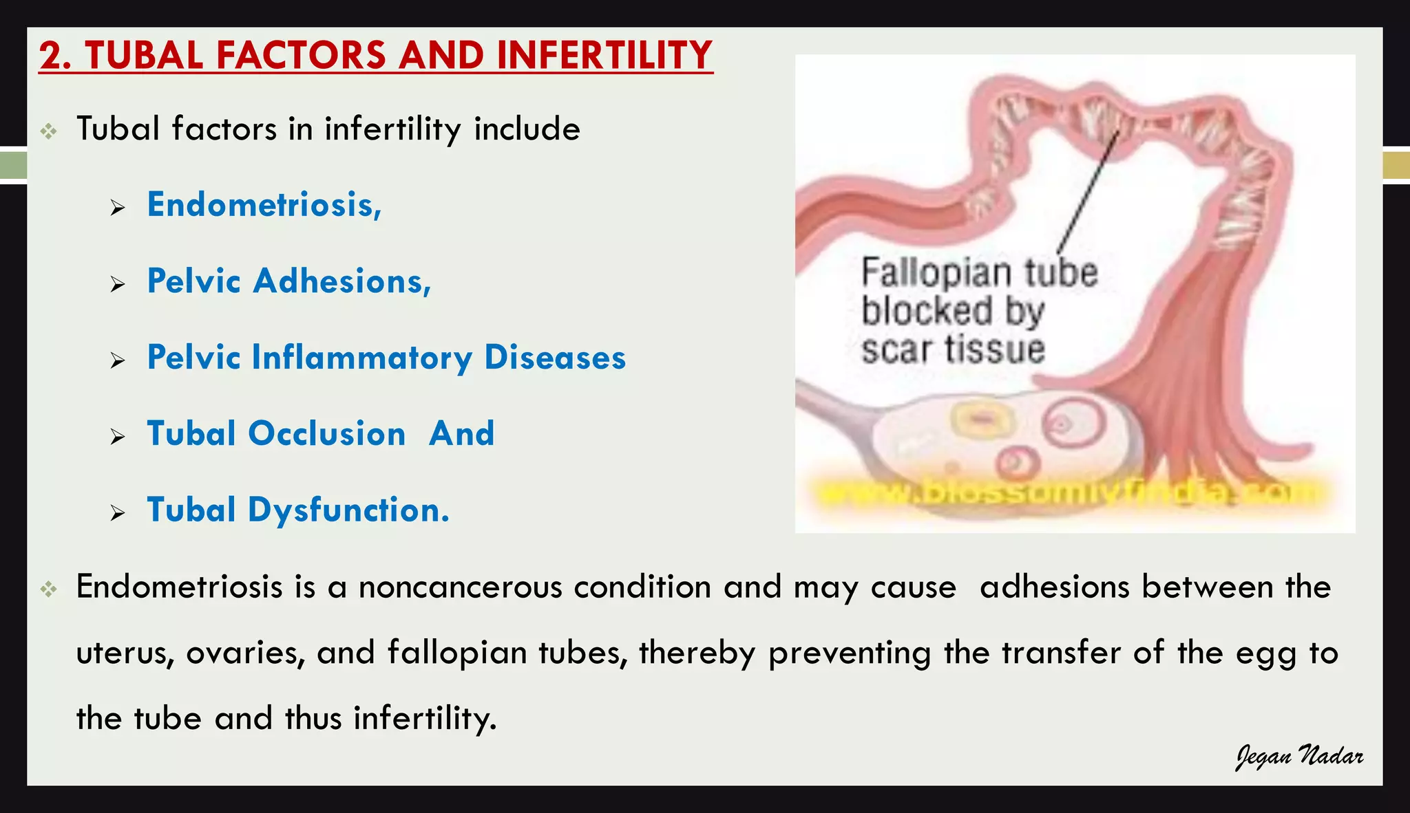 Pathophysiology of Infertility | PDF