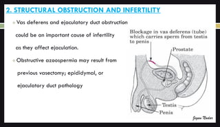 Pathophysiology of Infertility | PDF