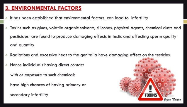 Pathophysiology of Infertility | PDF | Infertility | Reproductive Health