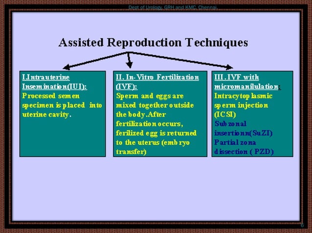 Infertility management- Assisted Reproductive Techniques (ART) | PDF | Infertility ...