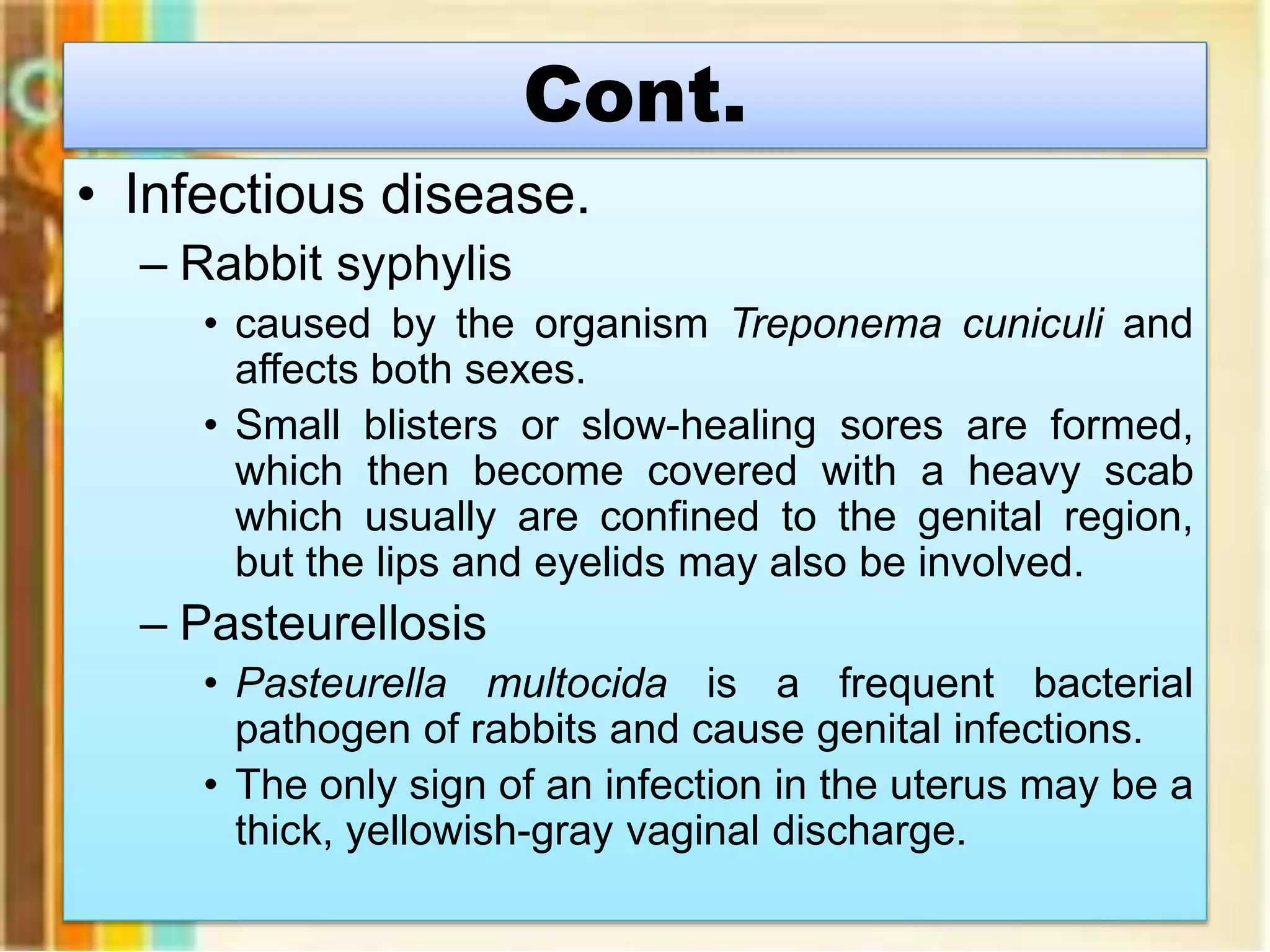 Infertility of sow and rabbit.slide | PPT