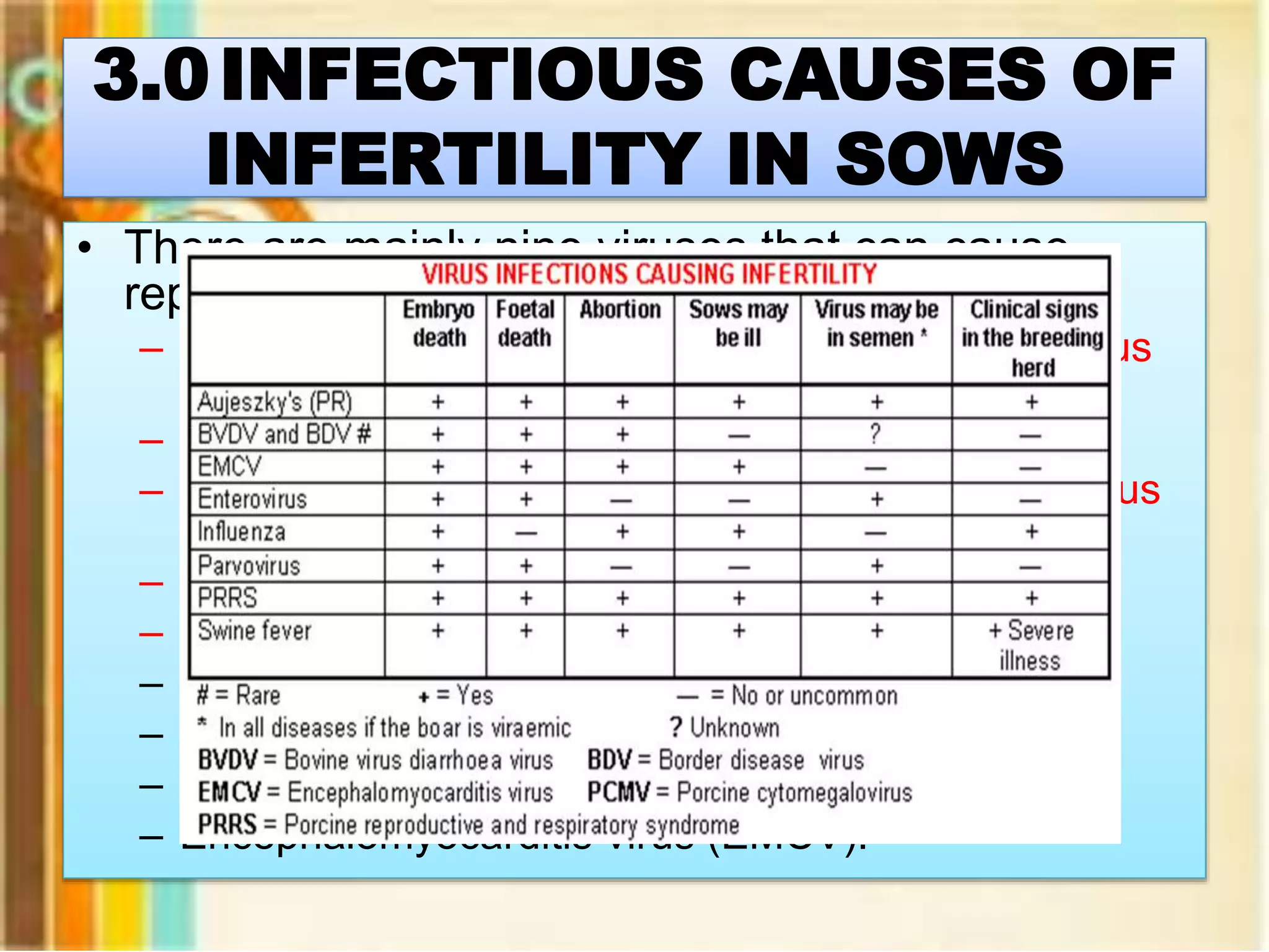 Infertility of sow and rabbit.slide | PPT