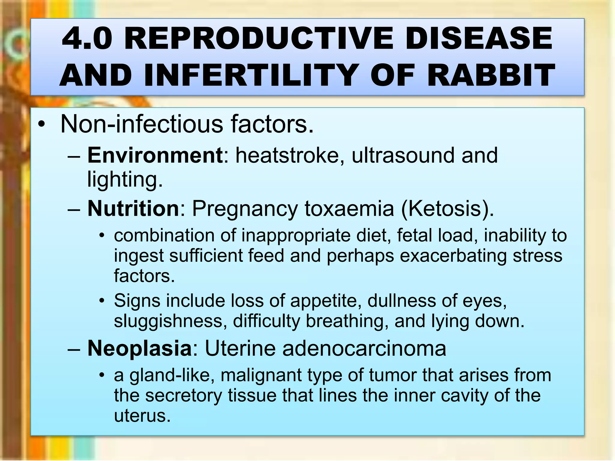 Infertility of sow and rabbit.slide | PPT