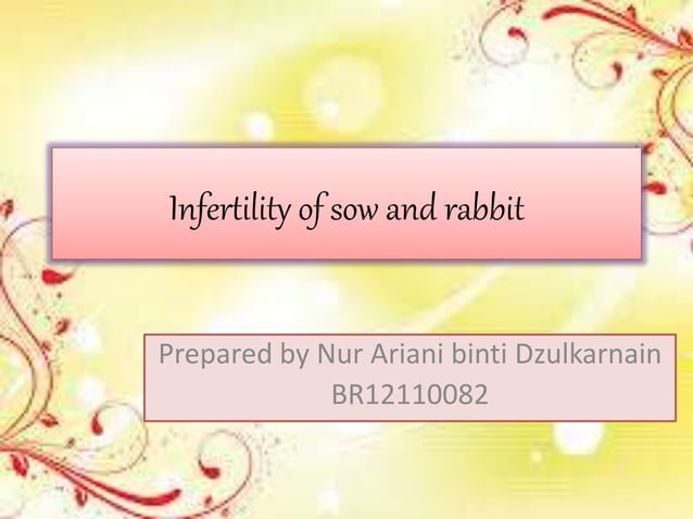 Infertility of sow and rabbit.slide | PPT