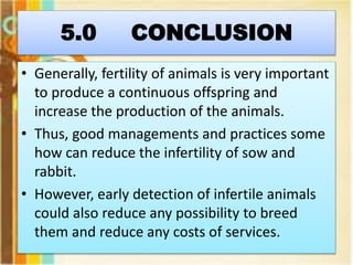 Infertility of sow and rabbit.slide | PPT