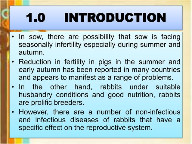 Infertility of sow and rabbit.slide | PPT