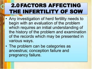 Infertility of sow and rabbit.slide | PPTX