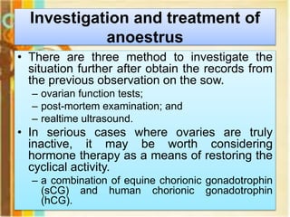 Infertility of sow and rabbit.slide | PPTX