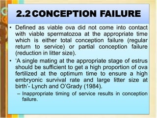 Infertility of sow and rabbit.slide | PPT