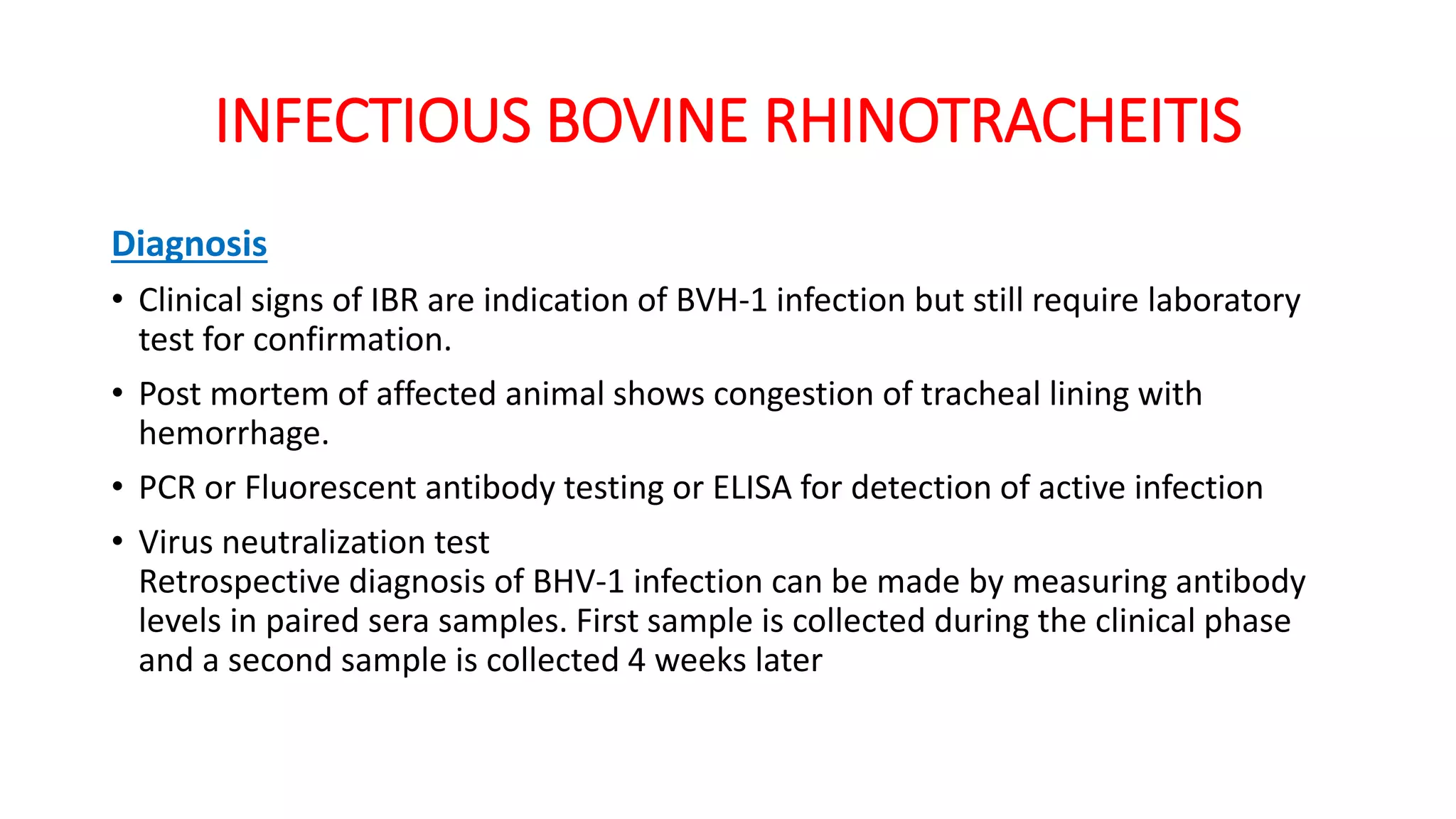 Viral causes of infertilty in male (Cattle, buffalo and others) | PPTX