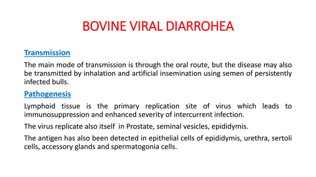 Viral causes of infertilty in male (Cattle, buffalo and others) | PPTX | Infectious Diseases ...