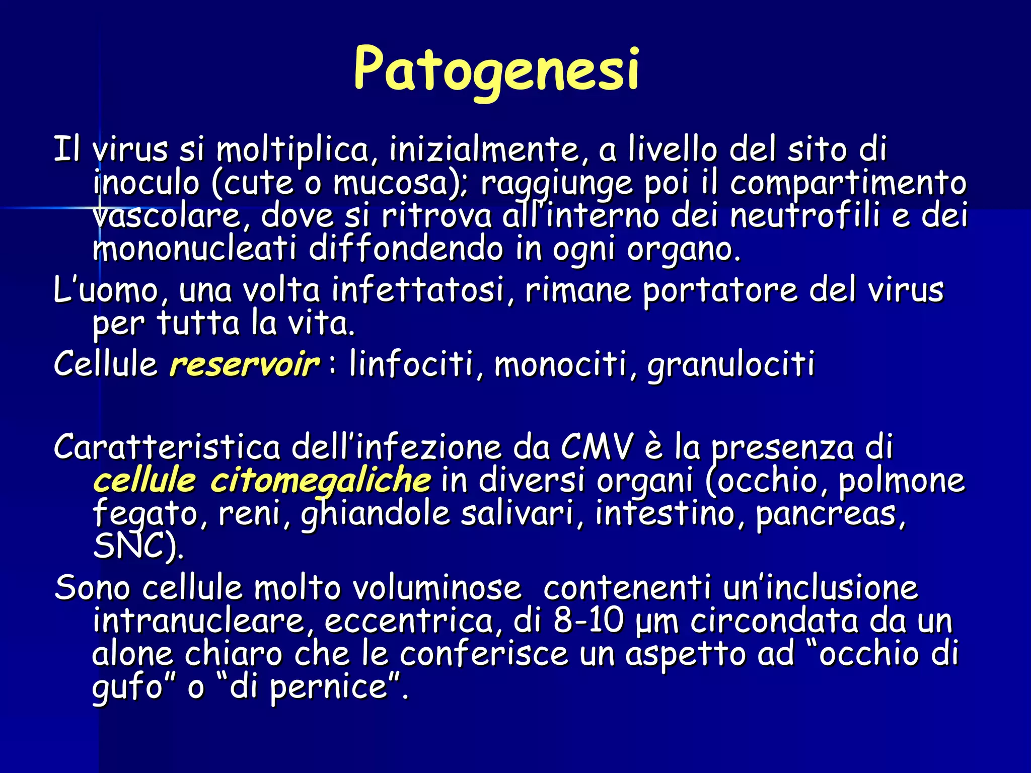 Infezioni da citomegalovirus (cmv) | PPT