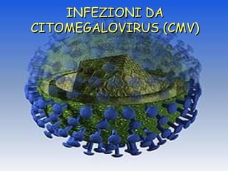 Infezioni da citomegalovirus (cmv) | PPT | Diseases and Conditions ...