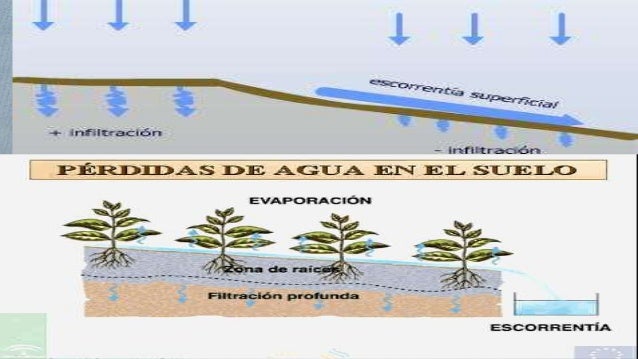 Infiltración Del Suelo