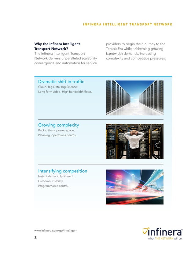 Infinera Intelligent Transport Networks | PDF