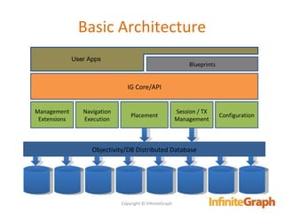 An overview of InfiniteGraph, the distributed graph database | PPT