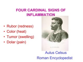 Acute and chronic inflammation | PPT