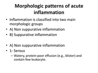 Inflammation | PPTX
