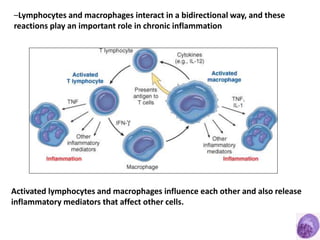 Inflammation | PPTX