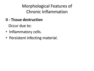 Inflammation | PPT