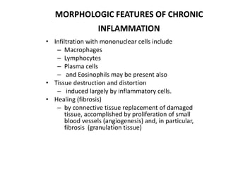 Inflammation | PPTX