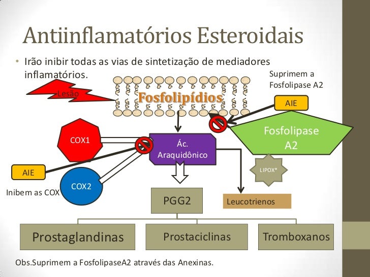 Inflamacao e dor