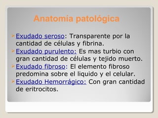Inflamación | PPT