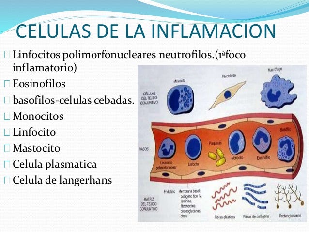 Inflamación