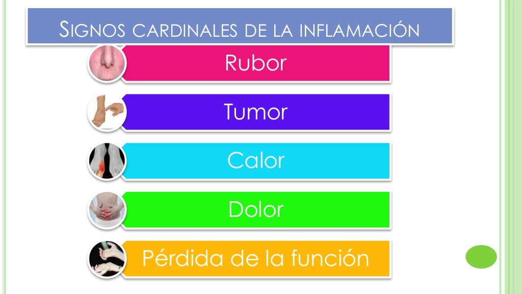 retorta Irradiar Malgastar dolor rubor calor y tumor Género ...