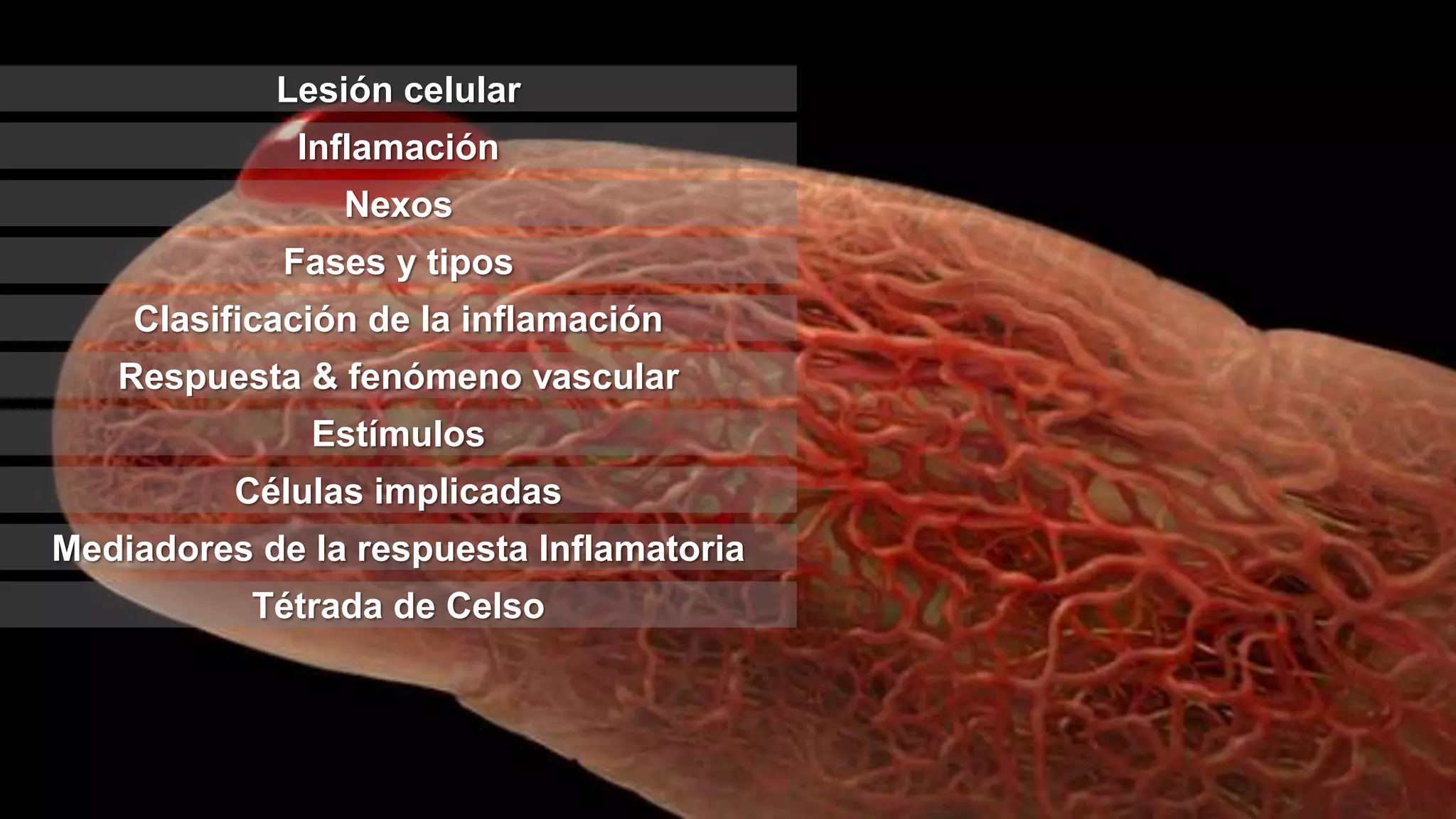 Proceso de la Inflamación | PPT