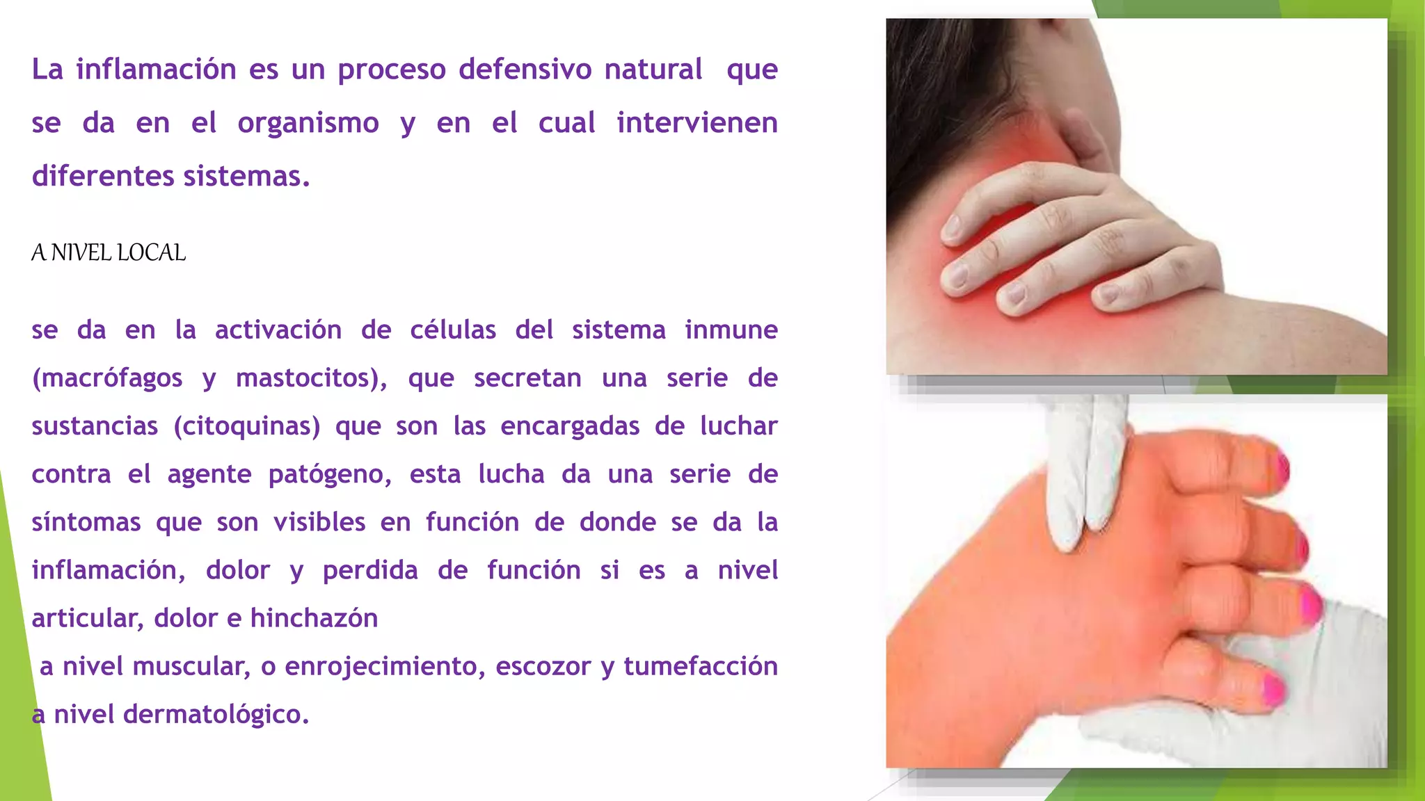 Inflamación | PPTX