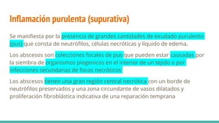 Inflamación | PPTX